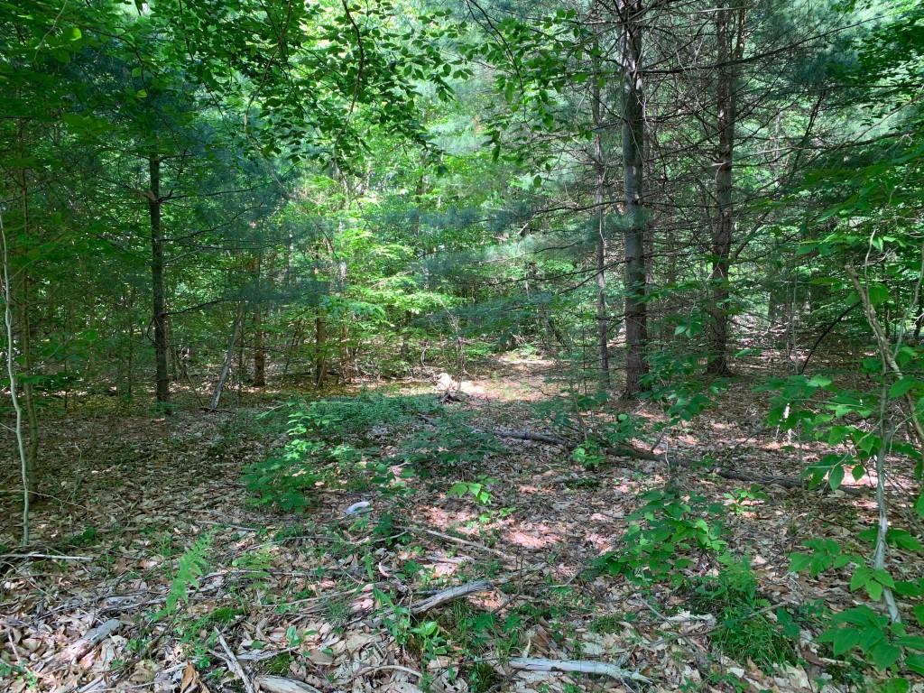 Limestone Ridge Properties