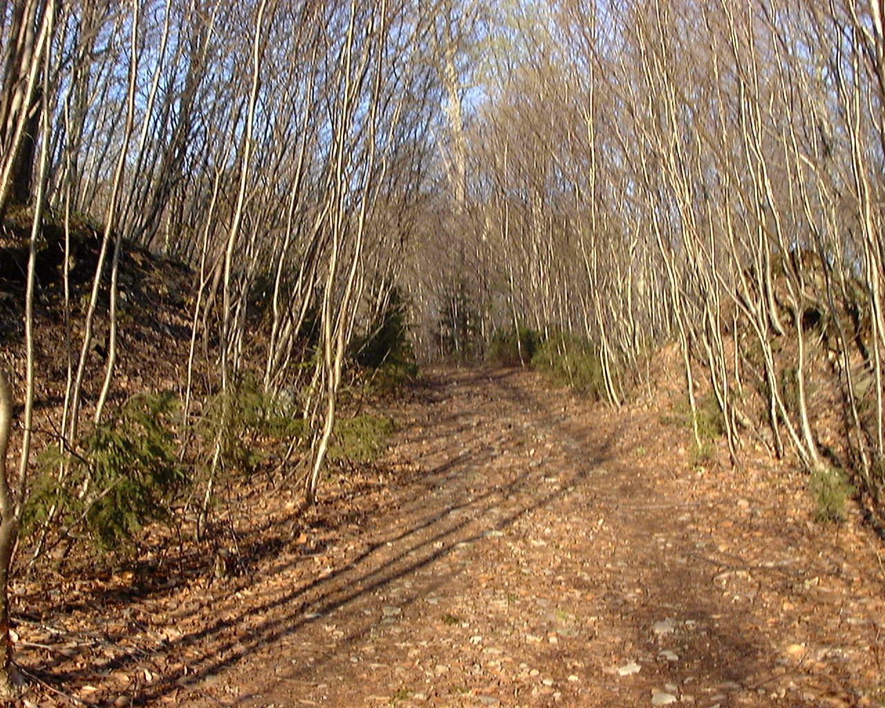 Limestone Ridge Properties | Page 2